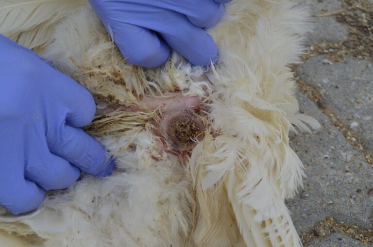 Prepersi.pl - preppersi przygotowani na wszystko, przetrwanie